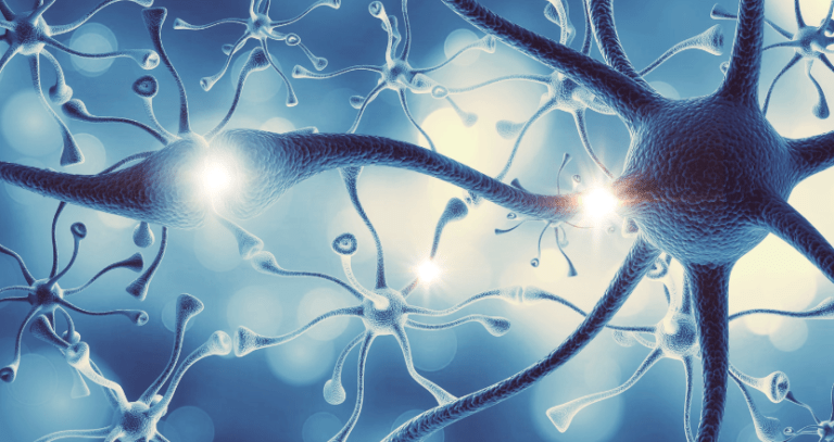 An Overview Of Limbic System Disorders | re-origin
