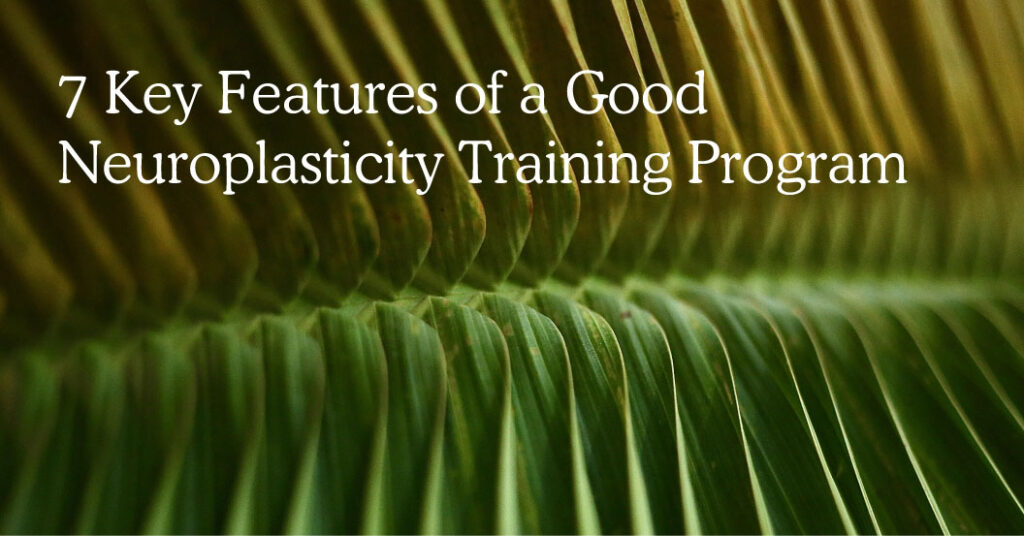 7 Key Features Of A Good Neuroplasticity Training Program