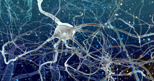Rewire Your Brain: How Long Does Neuroplasticity Take? | re-origin