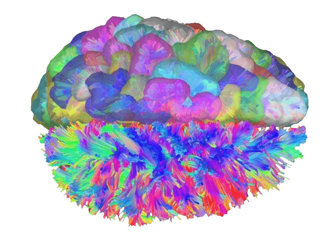 About Us | Learn About Re-origin Brain Retraining Program